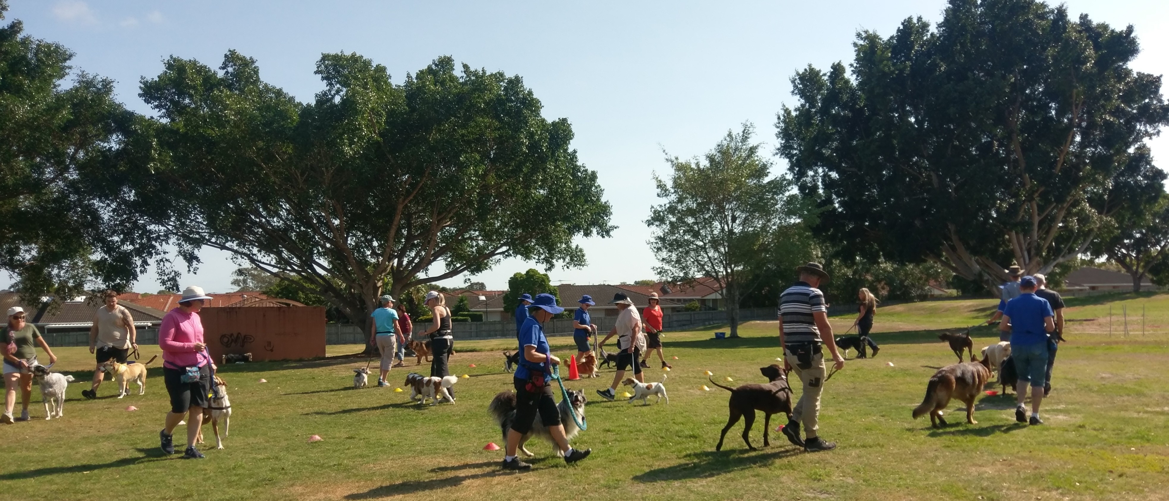 5 reasons to join in the Reliability & Stability class | Teamwork Dogs ...